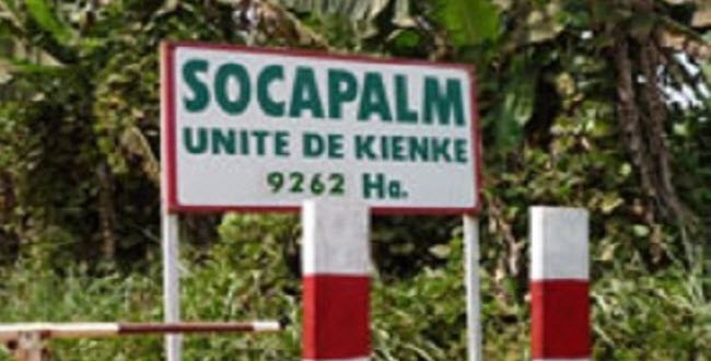 ACCAPAREMENT DES TERRES PAR LA SOCAPALM : LE PRESIDENT DE LA SOCAPALM ...