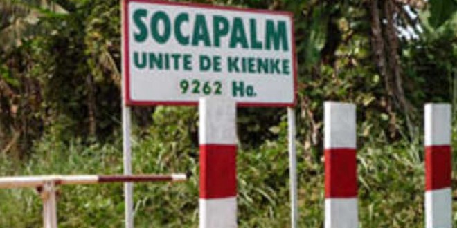 LA SOCAPALM ET DES VILLAGEOIS SE DISPUTENT 72 000 HECTARES DE TERRE ...