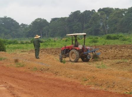 CONGO-KINSHASA: 2,8 MILLIONS D’HECTARES DE TERRES AGRICOLES CÉDÉES AUX ...